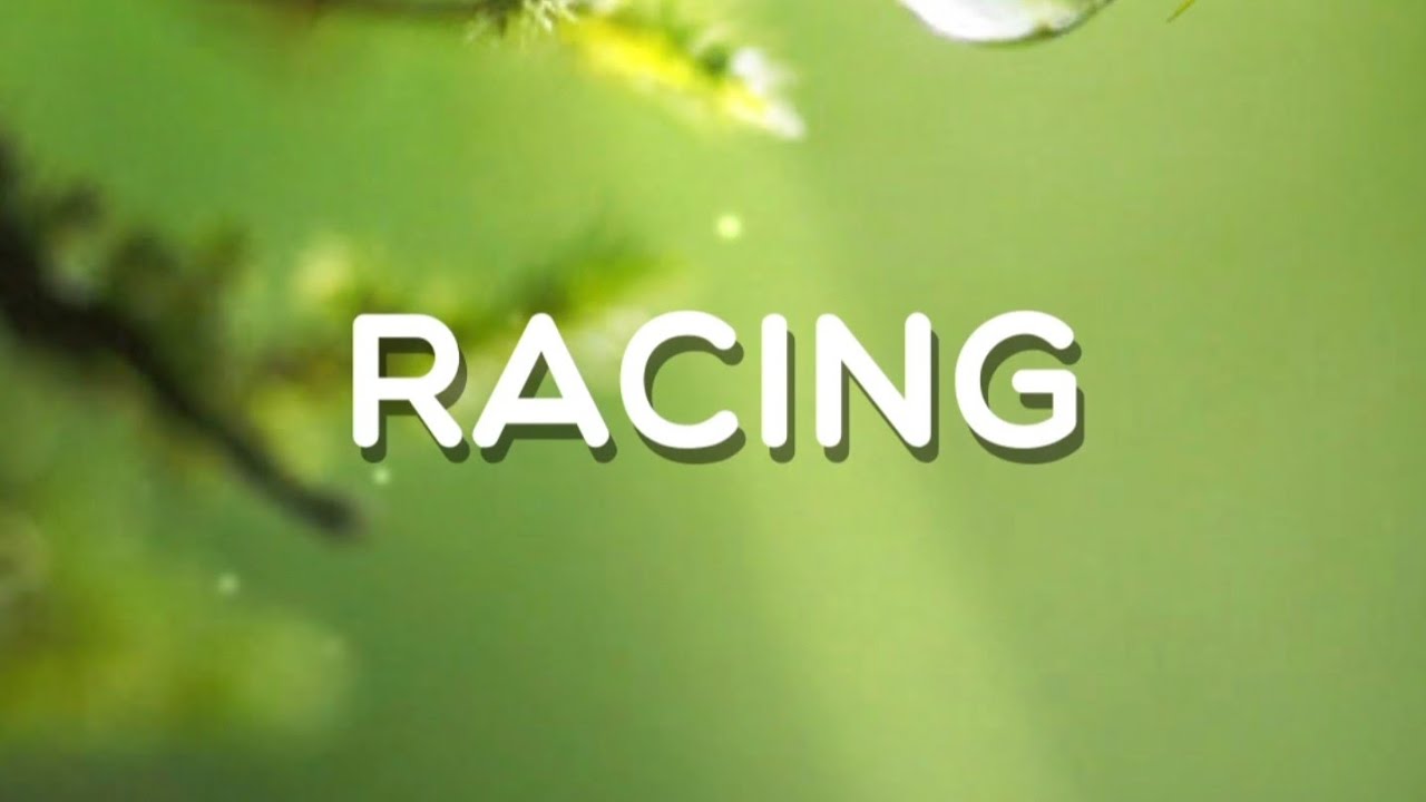 Racing, Level 459, Word Crush Answers, FullHD 60 fps. - YouTube