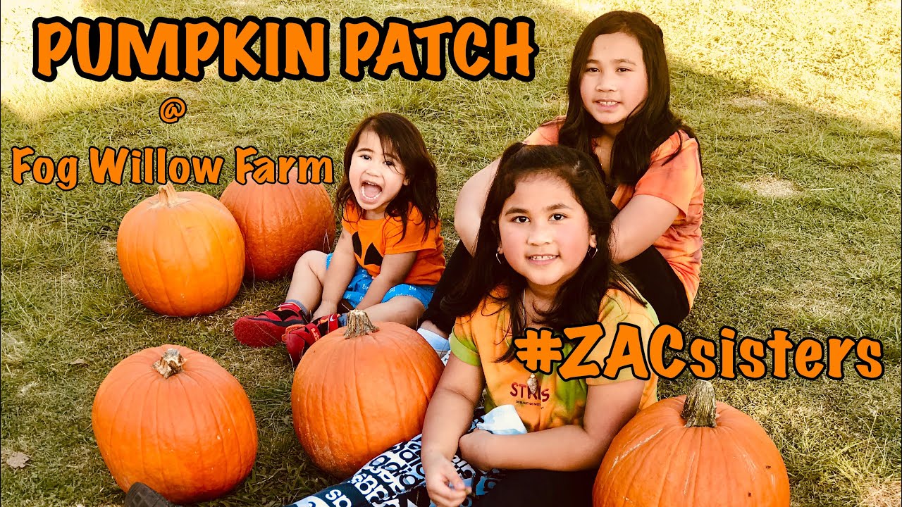 PUMPKIN PATCH : Fog Willow Farm - YouTube