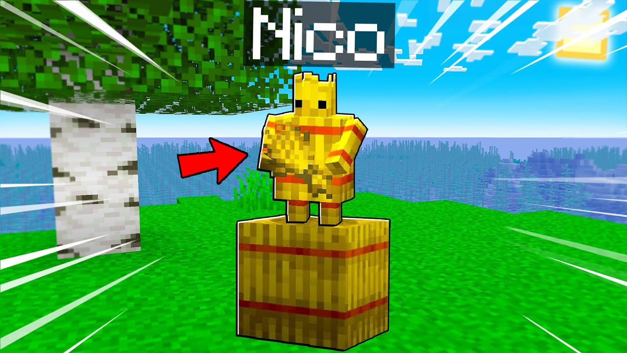 MINECRAFT MA SONO UNA BALLA DI FIENO! - YouTube