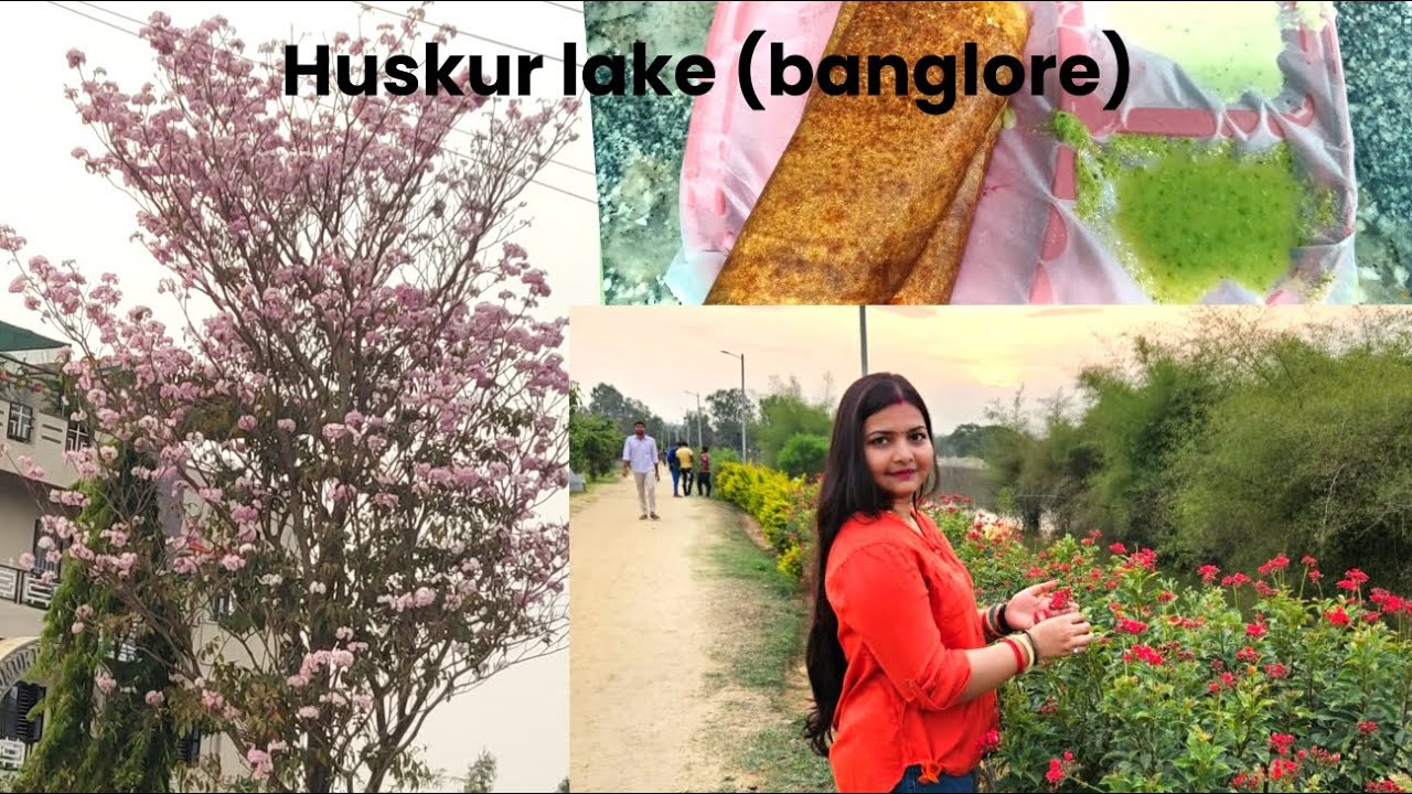 A day in my life||Huskur lake banglore||Daily vlogs|| #Bihari ladki ...