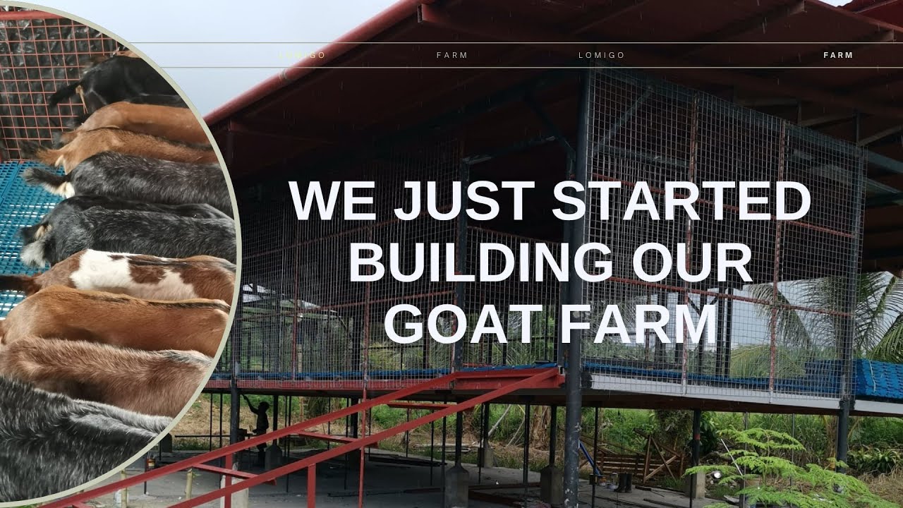 We Just Started Building Our Goat Farm - From Zero to Dream - YouTube