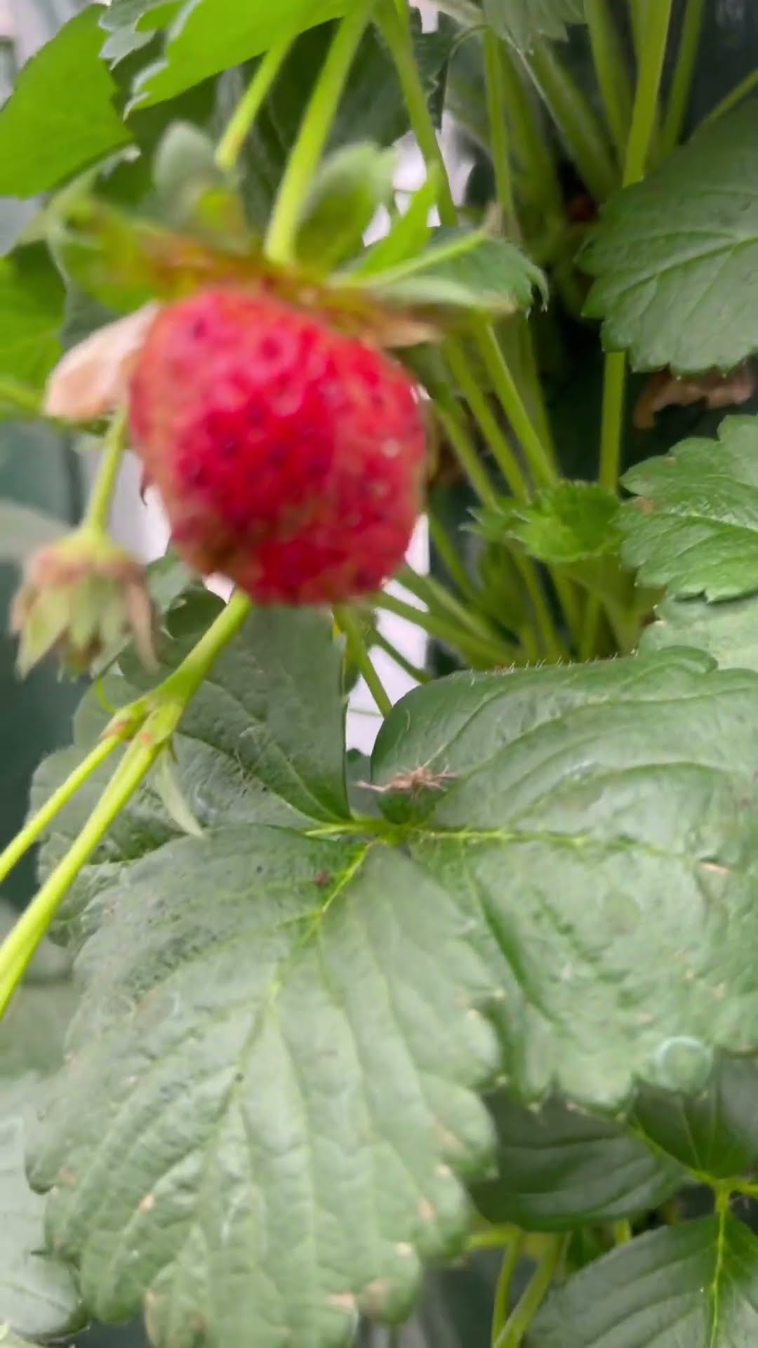 25 May 2024 - YouTube