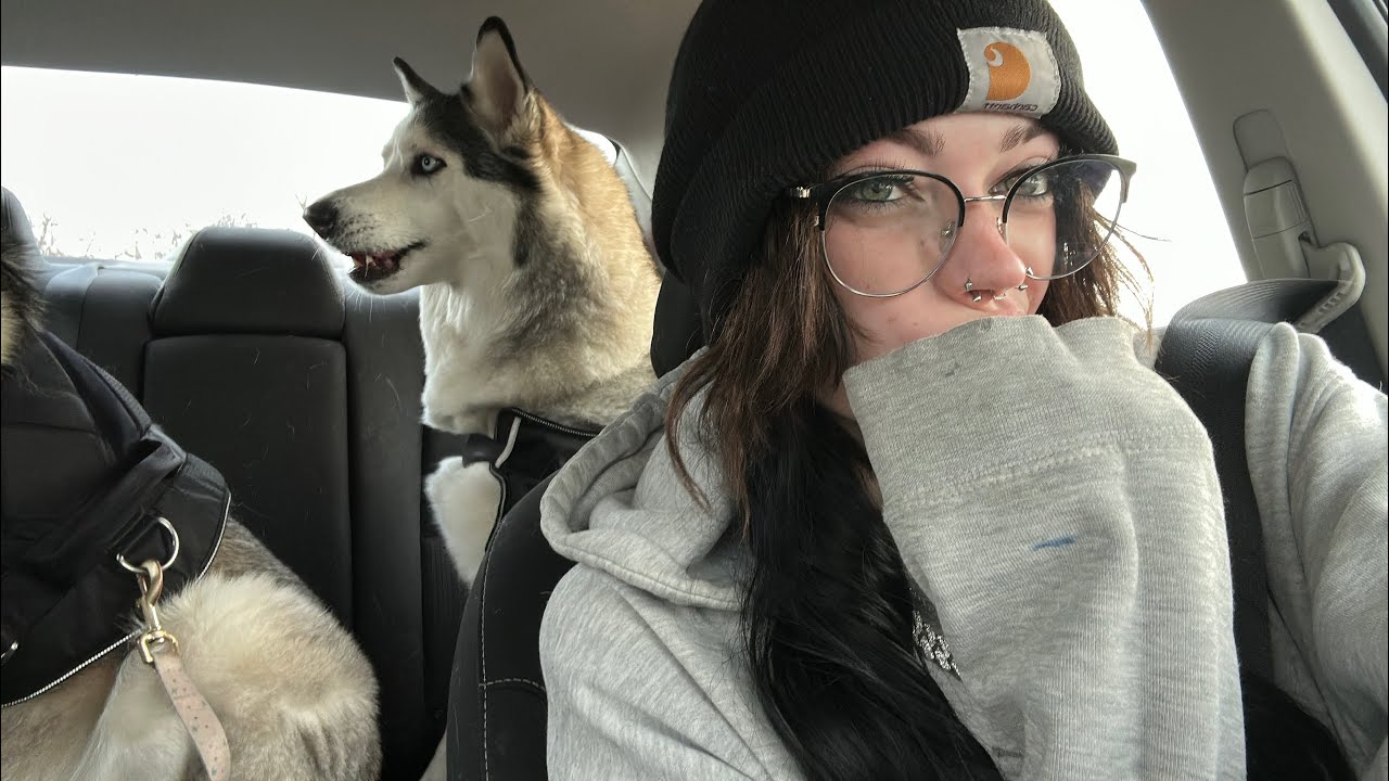 Longboarding With Huskies Prt.3 | Stamps Vlogs - YouTube