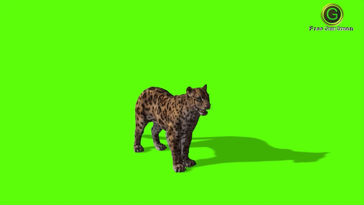 Jaguar Green Screen - YouTube