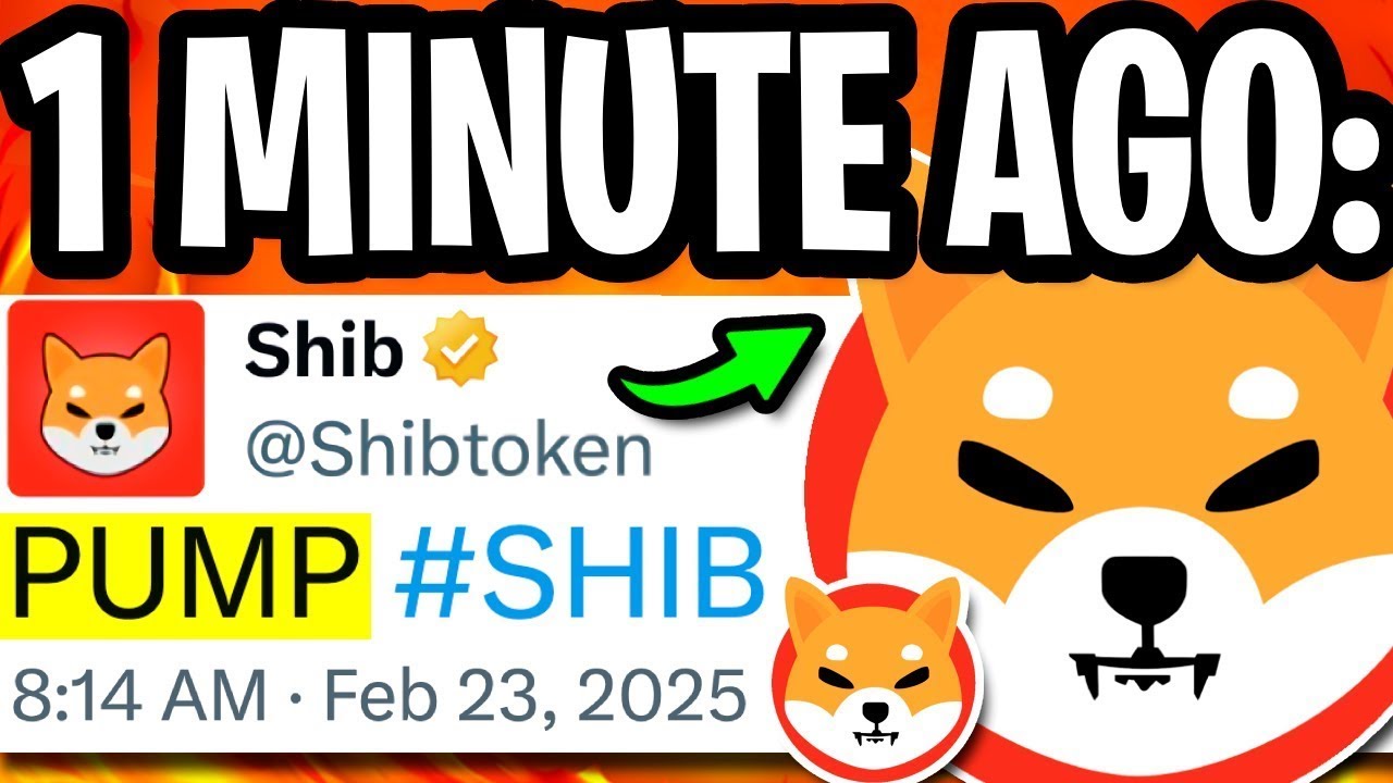 SHIBA INU: THEY'RE BACK! LAST TIME IT HAPPENED SHIBA INU PRICE ...