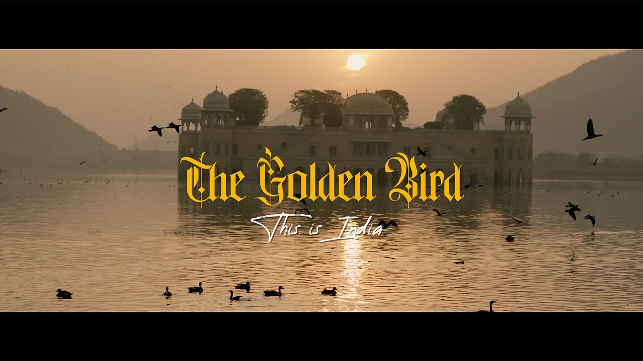 "The Golden Bird" - This is India - Cinematic Travel Video - YouTube