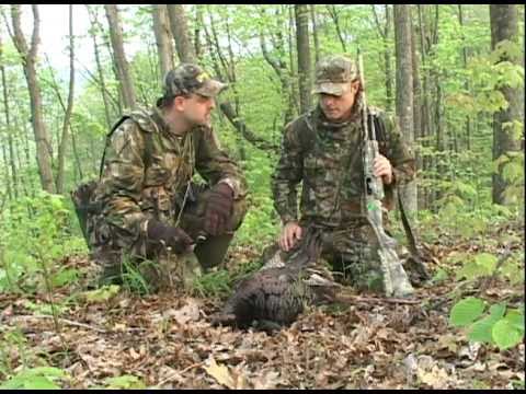 West Virginia Turkey Hunt (up close) - YouTube