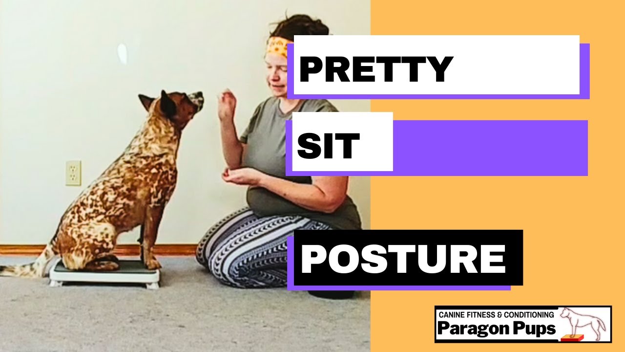 Pretty Sit: Static Sit Posture for Dogs - YouTube
