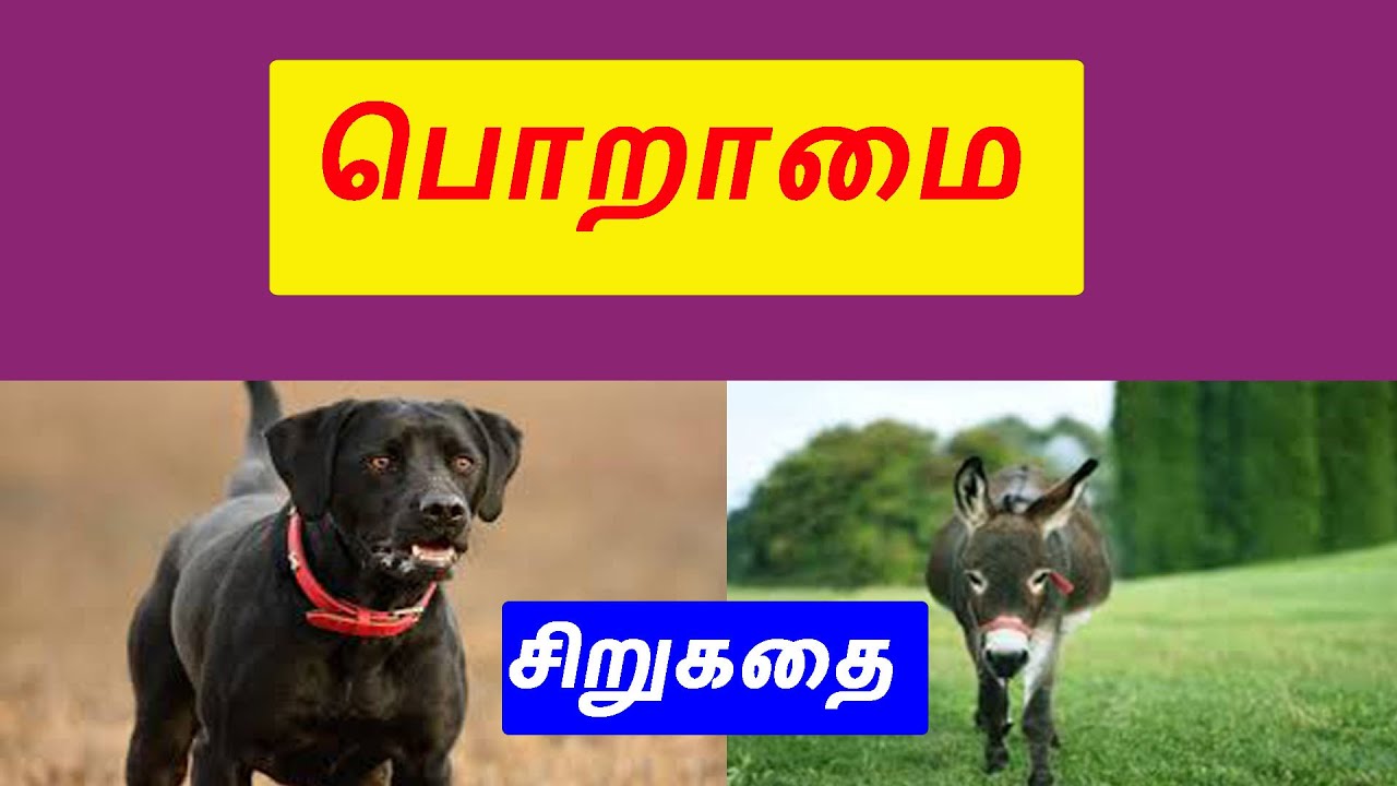 பொறாமை சிறுகதை/poramai sirukathai story in tamil/tamil sirukathai/dog ...