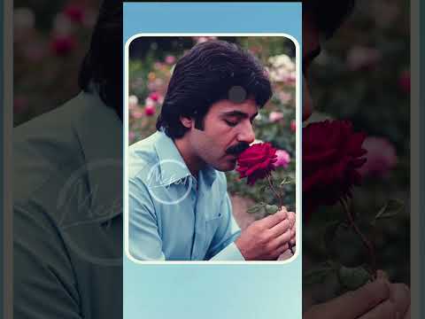 Shorts: FERDi TAYFUR - \