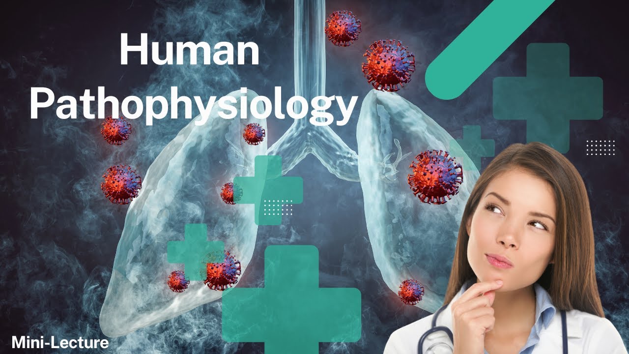 Explore Human Pathophysiology: Understanding Disease Mechanisms (24 ...