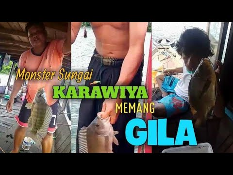 MONSTER sungai KARAWIYA memang GILA - YouTube