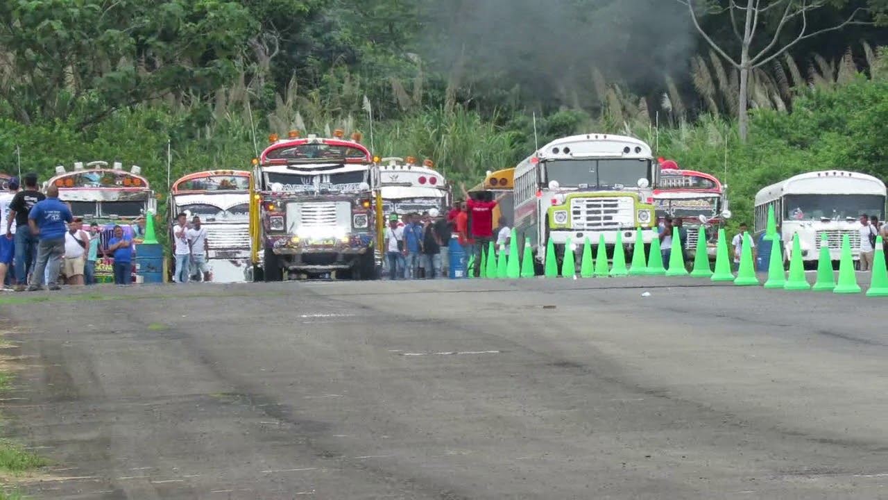 Carreras de Buses / Chojuan vs Ley 14 | en vivo - YouTube