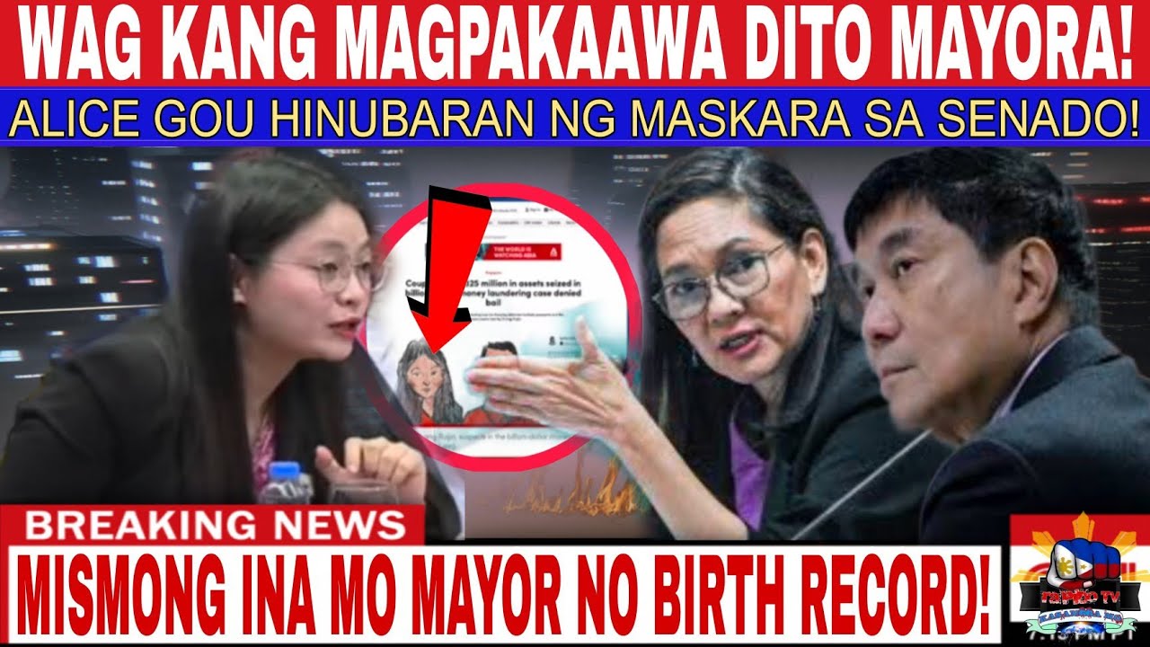 ALICE GOU HINUBARAN NG MASKARA SA SENADO! RAFFY TULFO WAG KANG ...
