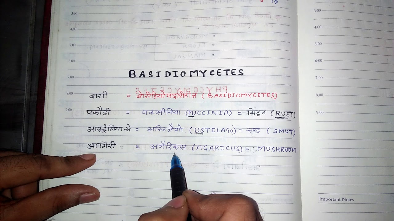 Basidiomycetes example trick class 11 ncert - YouTube