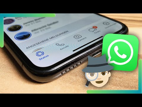 WhatsApp Status anonym anschauen - So geht's!