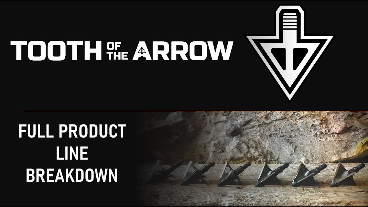 COMPLETE Tooth of the Arrow Broadhead REVIEW - YouTube
