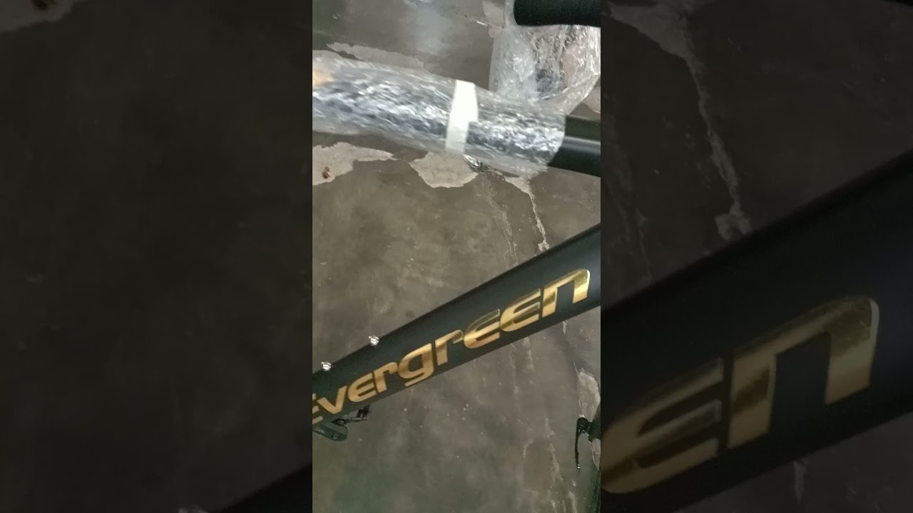Penampakan sepeda balap alloy evergreen Rapier 210R - YouTube