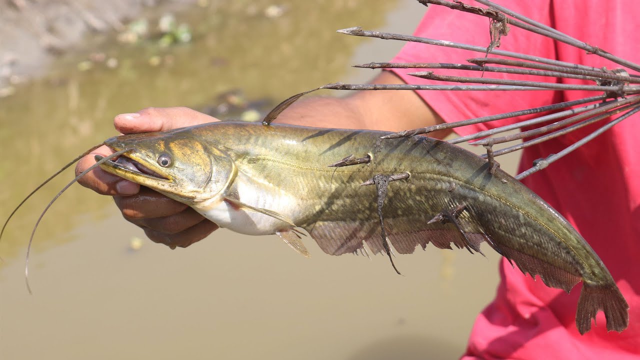 Unique Tata fishing moment and catch big fish. - YouTube