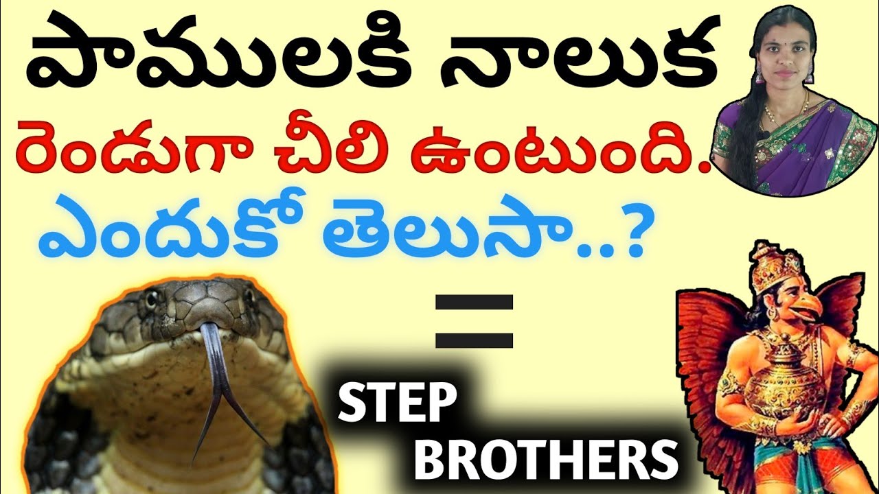 Why Garuda Eats The Snakes |Garuda and Nagaas| Garuda pakshi - YouTube