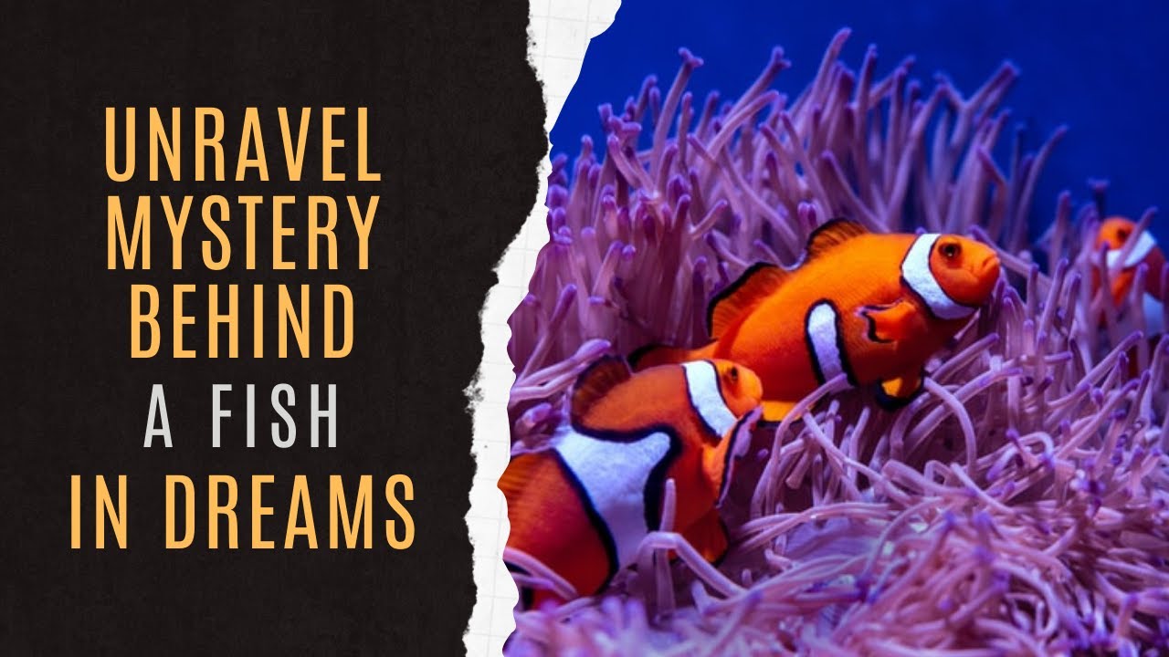 🐠What Does It Mean To Dream About Fish | Symbolic Meaning Of Fish Dream ...
