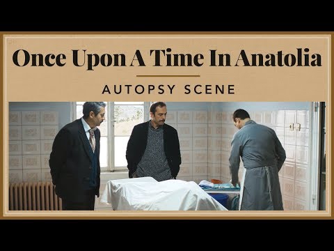 Once Upon A Time in Anatolia - Autopsy Scene