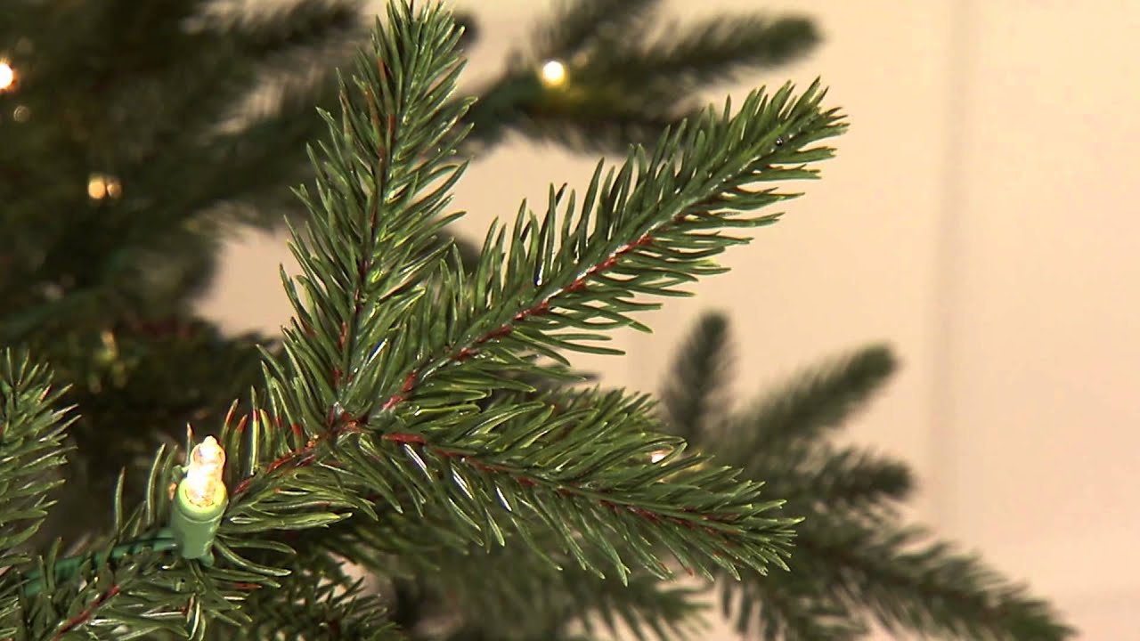 Eastern Fir Artificial Christmas Tree - YouTube