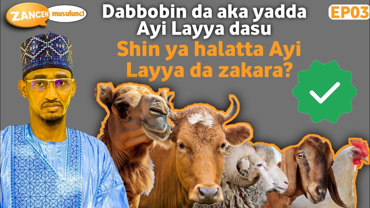 Dabbobin Da Ake Yin Layya Dasu. EP03 - YouTube