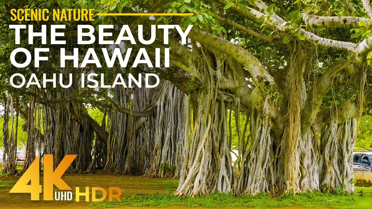 Beautiful Oahu Island in 4K HDR - Ocean Waves of Famous Honolulu ...