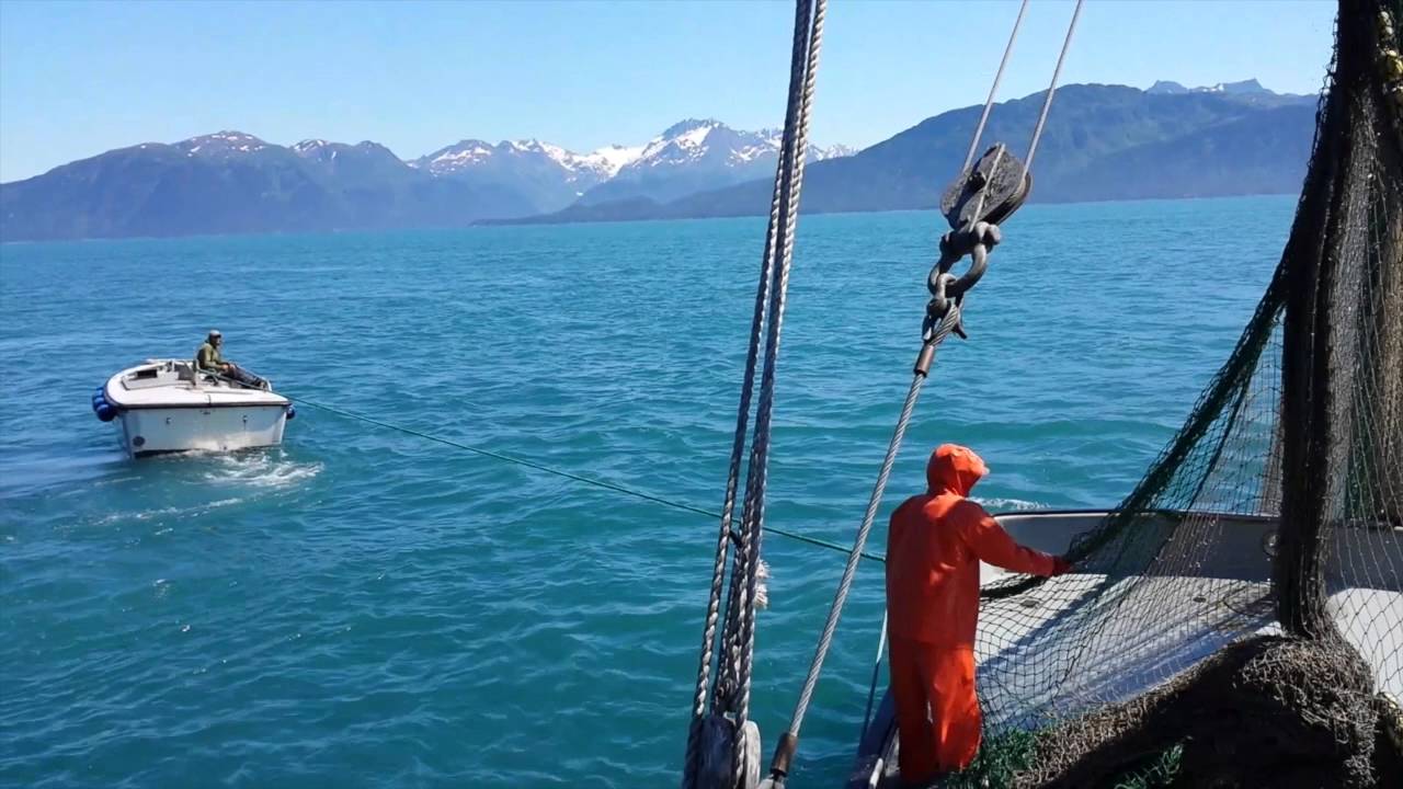 Alaska Salmon Fishing for Dummies - YouTube