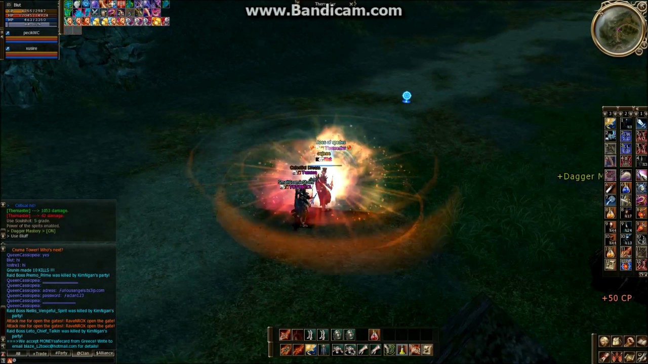 Lineage 2 TOXIC - Dagger PvP - Blut - YouTube