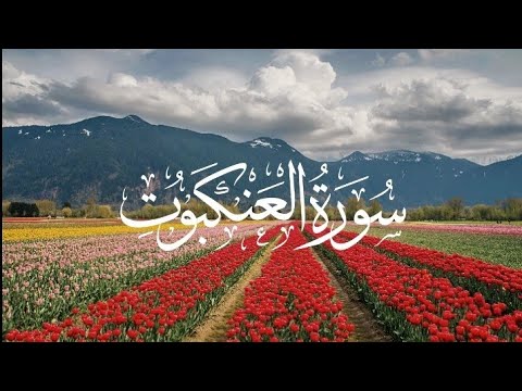 Kullu nafsin zaikatul maut By Abdul Rahman mossad surah Ankabot