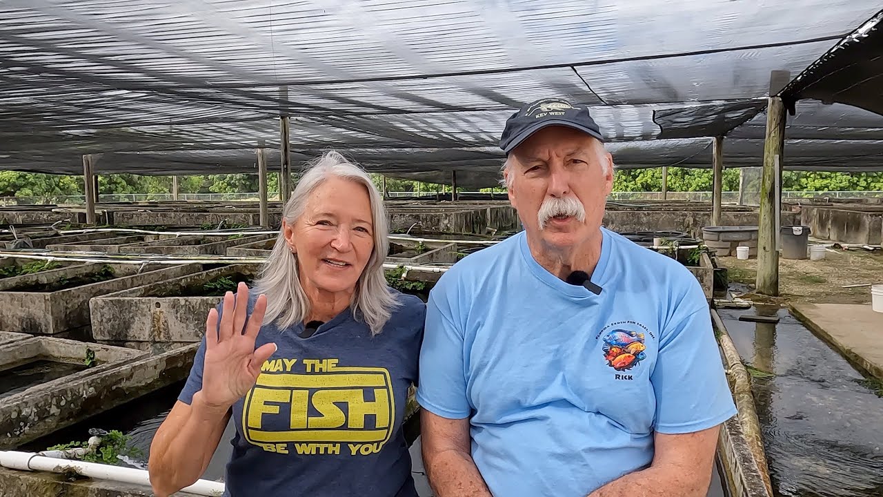 Welcome to Florida Exotic Fish Sales - YouTube