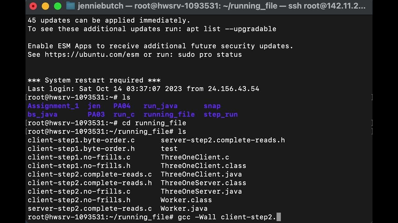 Programming Assignment 4 Step 2.3 - YouTube