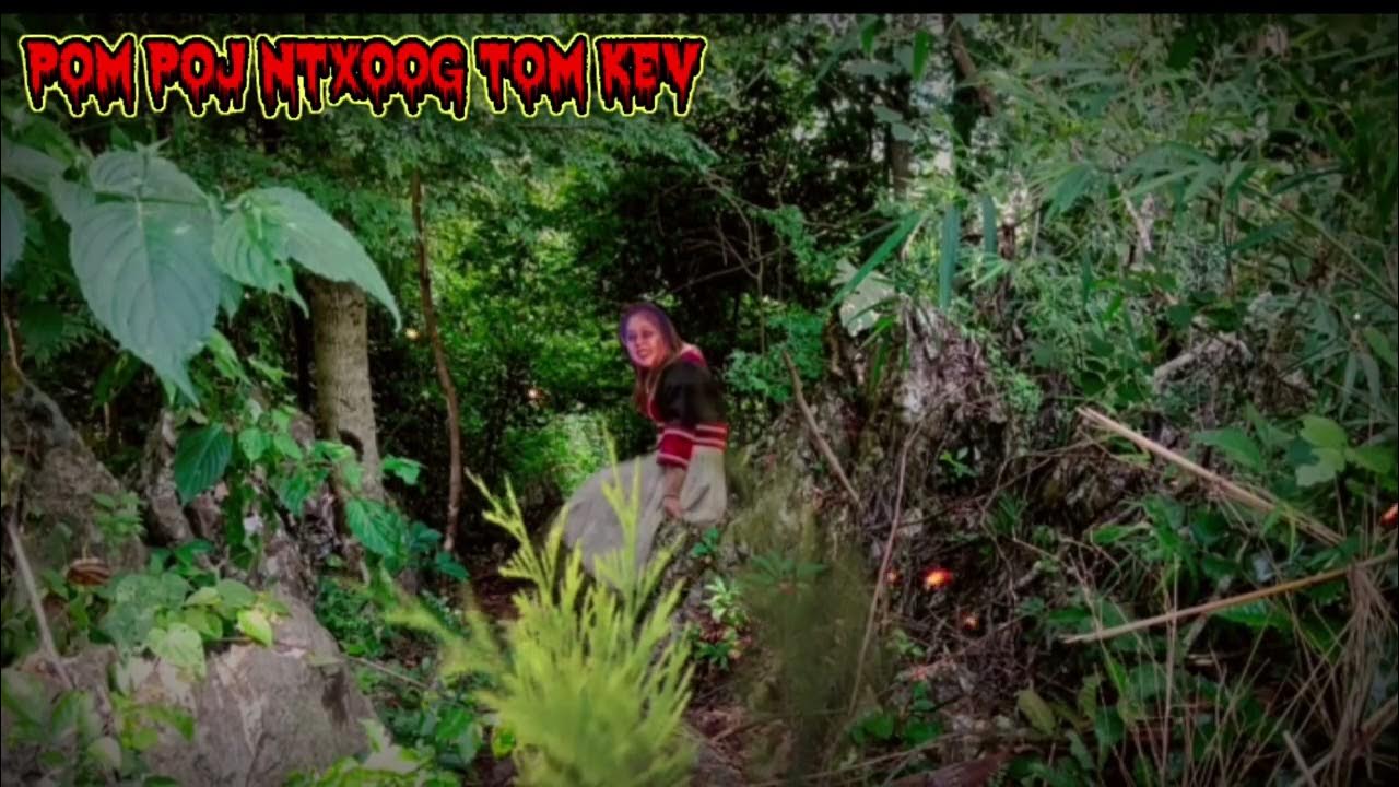 Pom poj ntxoog tom kev - Dab neeg dab - YouTube