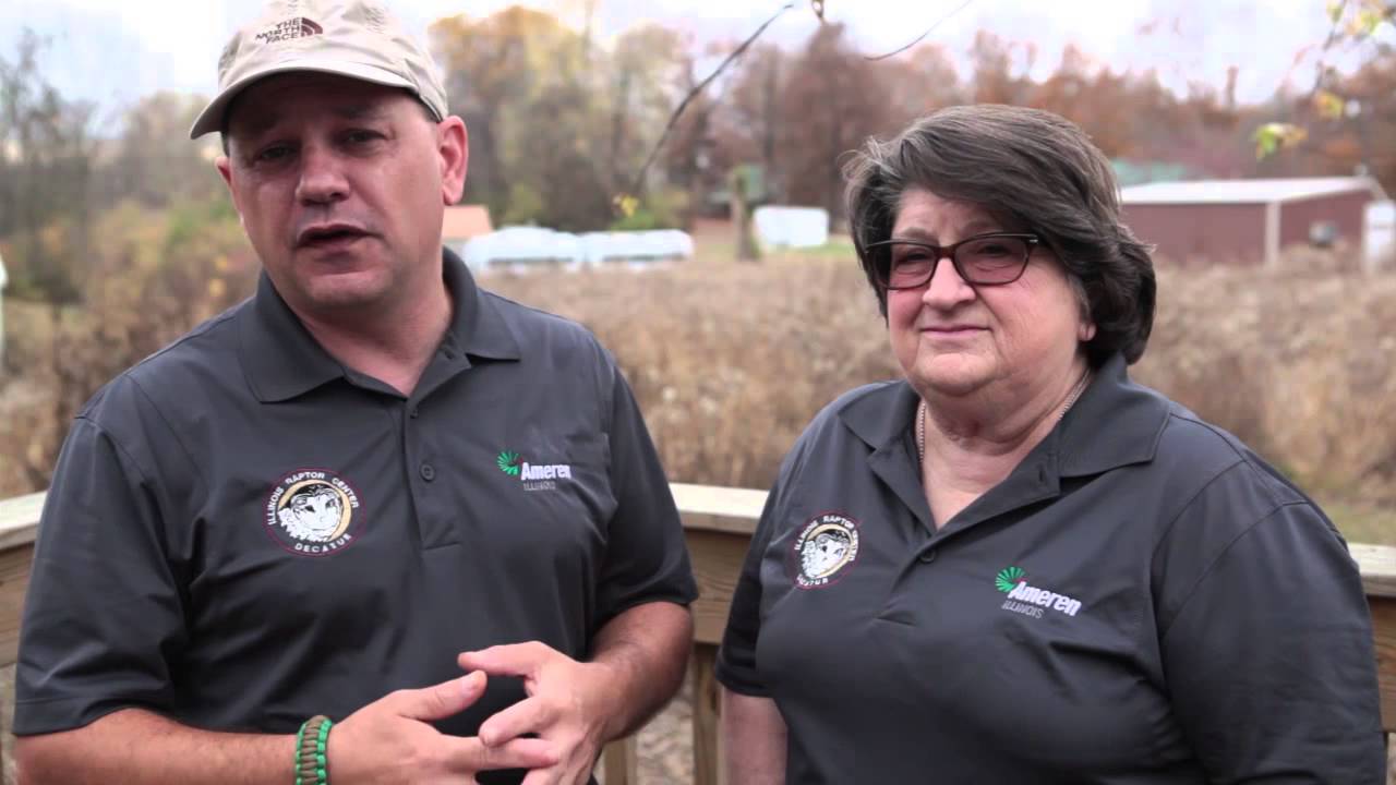 Illinois Raptor Center Superflight - YouTube
