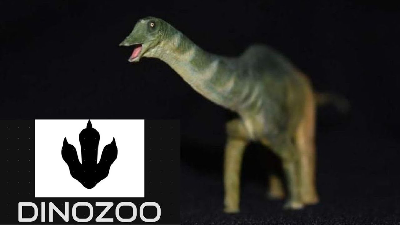 Dino Zoo Collectibles Kaatedocus siberi 1:35 scale Preorder Info - YouTube