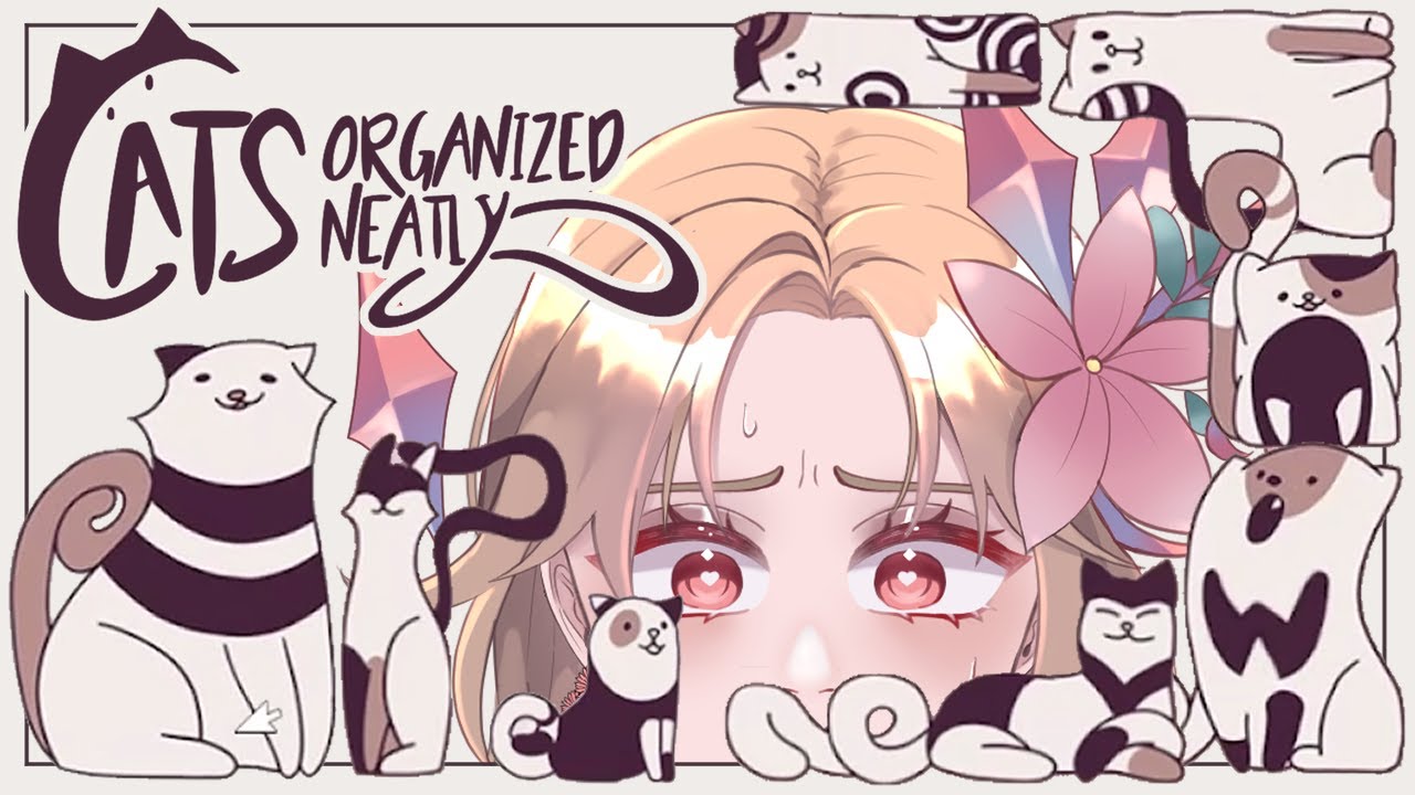 【Cats Organized Neatly】SO MANY CATS MEOW | Part #1 - YouTube