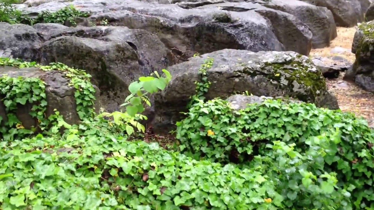 Unusual Stone Formations at Bowling Green Kentucky - YouTube