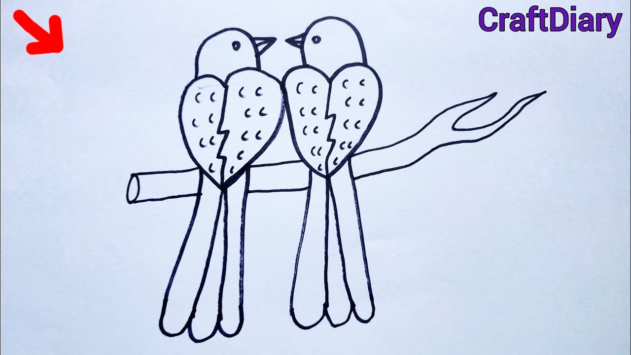 how to draw pair bird from ️ || Birds Drawing Simple - YouTube