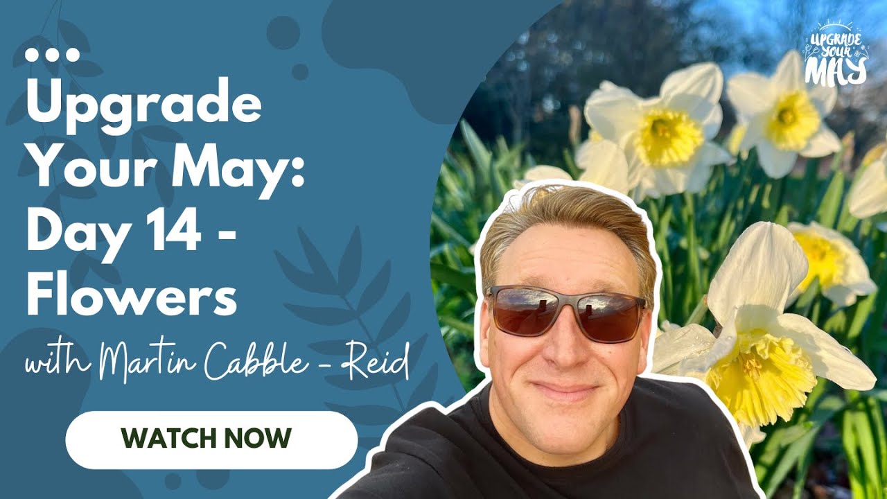 Upgrade Your May: Day 14 - Flowers #mindfulness #mindful - YouTube