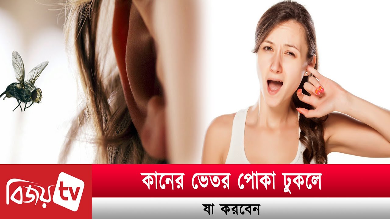কানে পোকা ঢুকলে যা করবেন না।Bijoy TV - YouTube