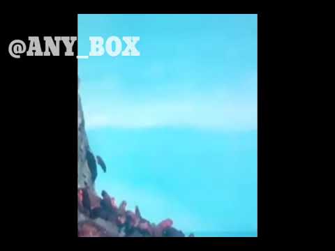 Naruto Blue Bird 🐦 MEME COMPILATION #20 - YouTube