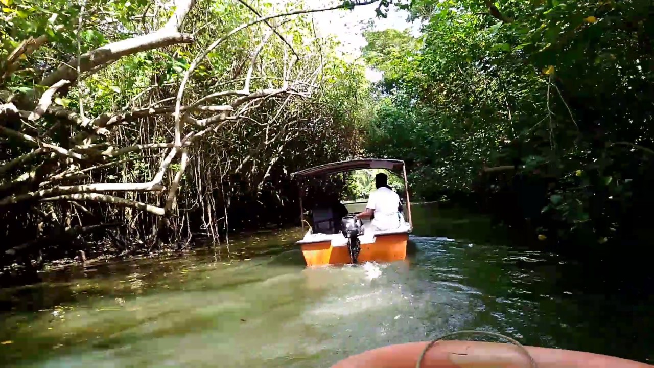 Poover back waters.. - YouTube