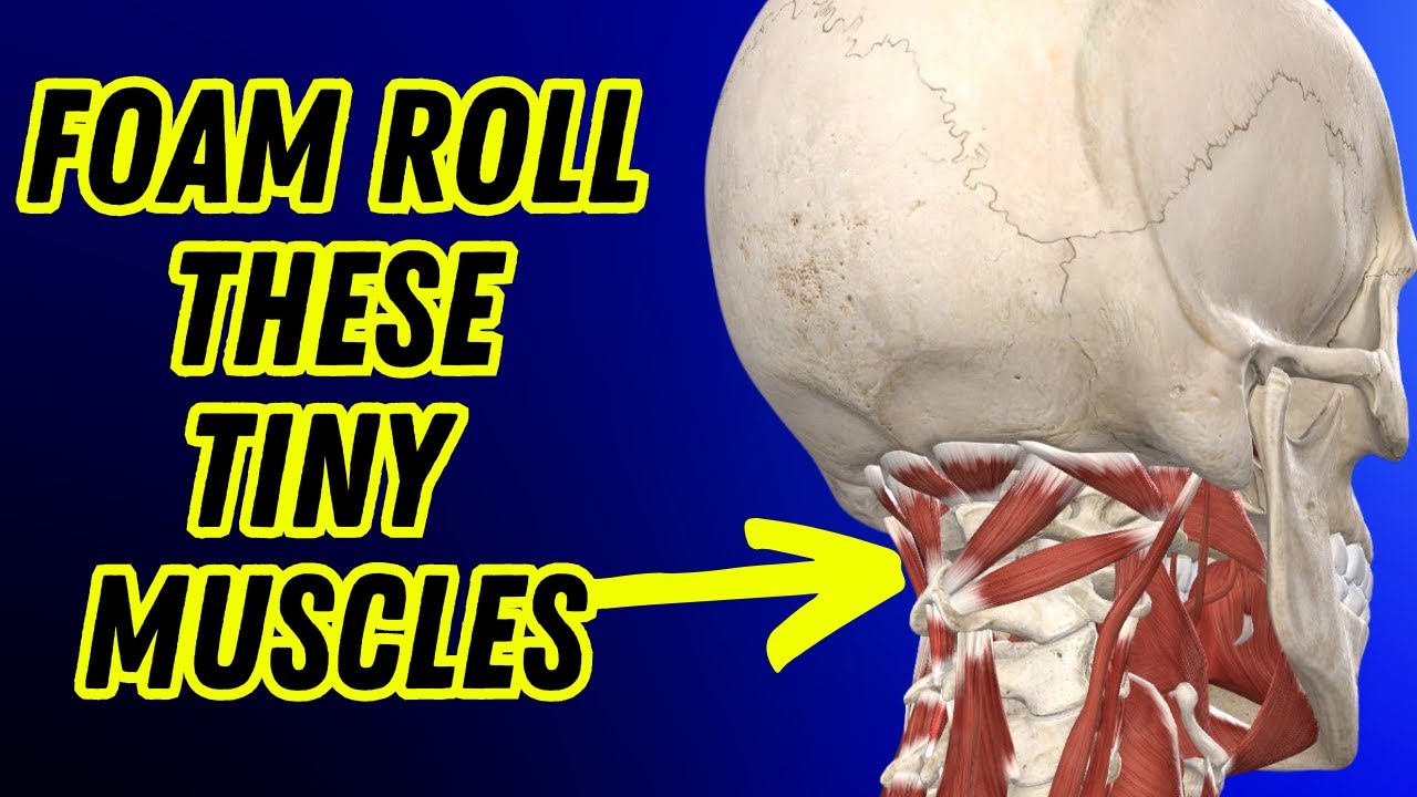 How to Foam Roll for Occipital and Back Muscle Relief | Relax & Improve ...