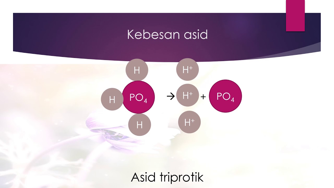 Asid, Bes dan Garam, Kimia Tingkatan 4 - YouTube