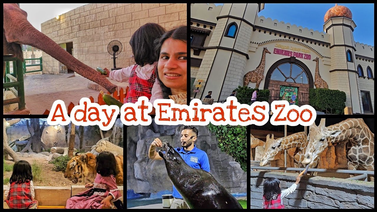 A day at Emirates Zoo, Abudhabi | Emirates park zoo walking tour [4k ...