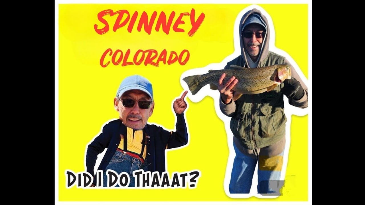 Spinney Mountain Reservoir (Colorado) Master Angler Trout! - YouTube