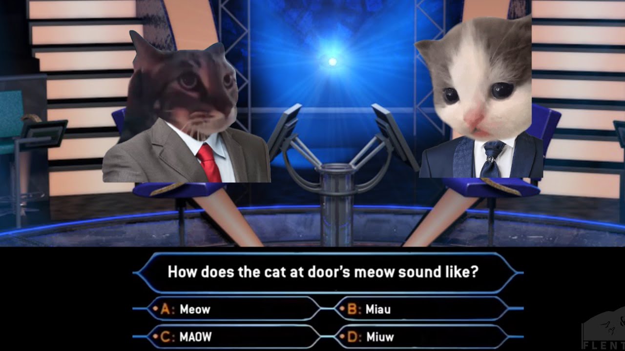 Cat want to be a millionaire - YouTube