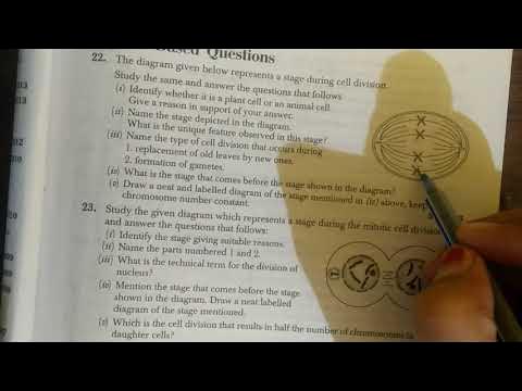 Icse class 10 biology diagram based questions - YouTube